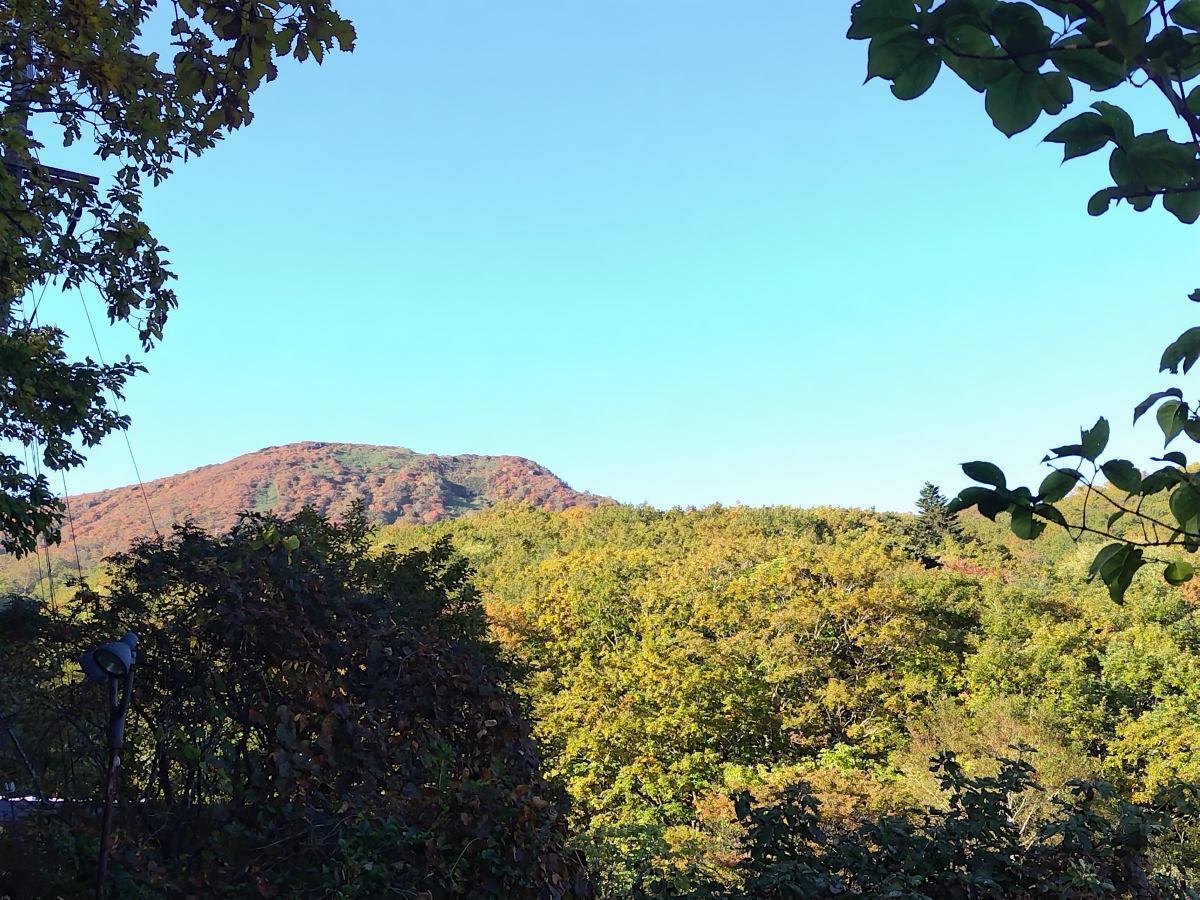 深まりゆく秋: 続・まさかどのふぁっとぼーいな生活